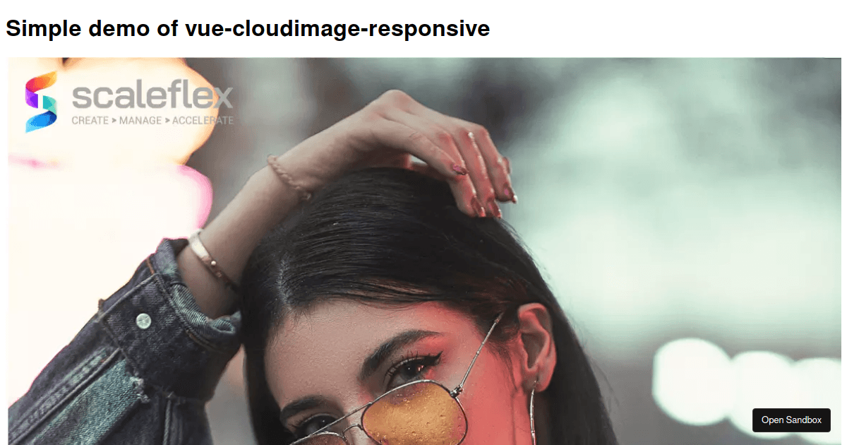 Vue Cloudimage Responsive Example Codesandbox