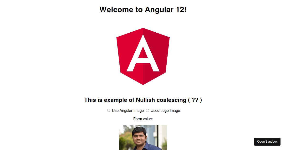 nullish-coalescing-example - Codesandbox