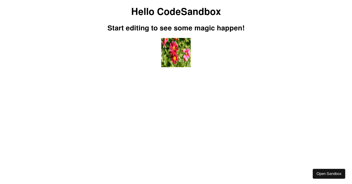 Cloudinary - Codesandbox