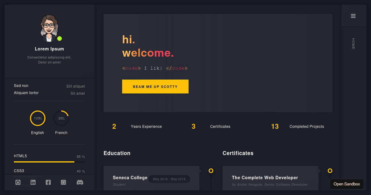 Portfolio (forked) - Codesandbox