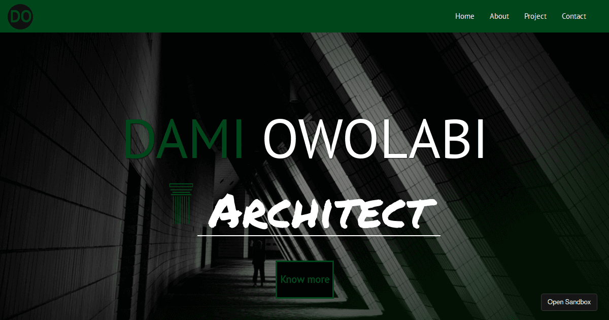 dami-portfolio - Codesandbox