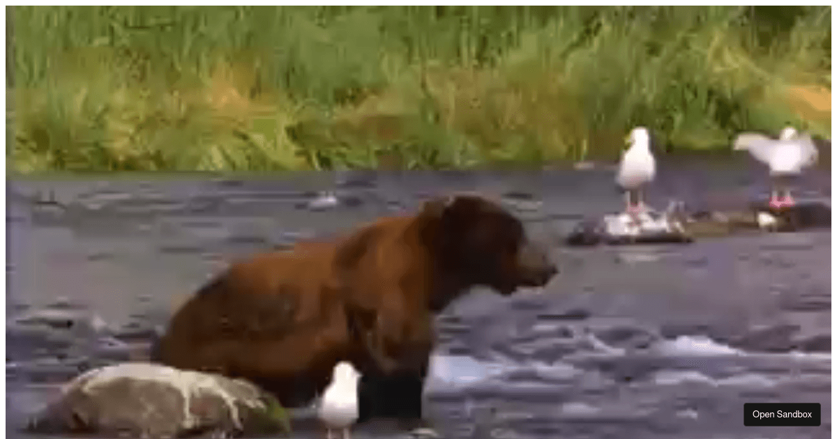 HTML & CSS (forked) - Codesandbox