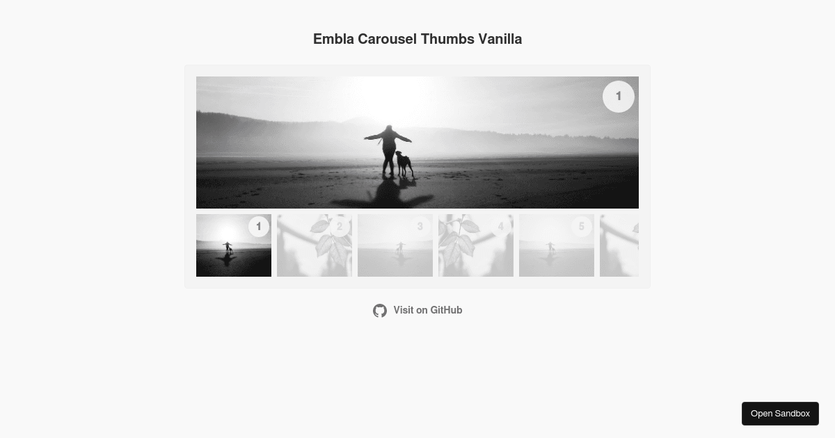 embla-carousel-thumbs-vanilla - Codesandbox