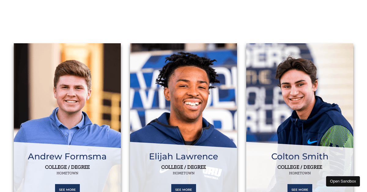 Student Profiles page - Codesandbox