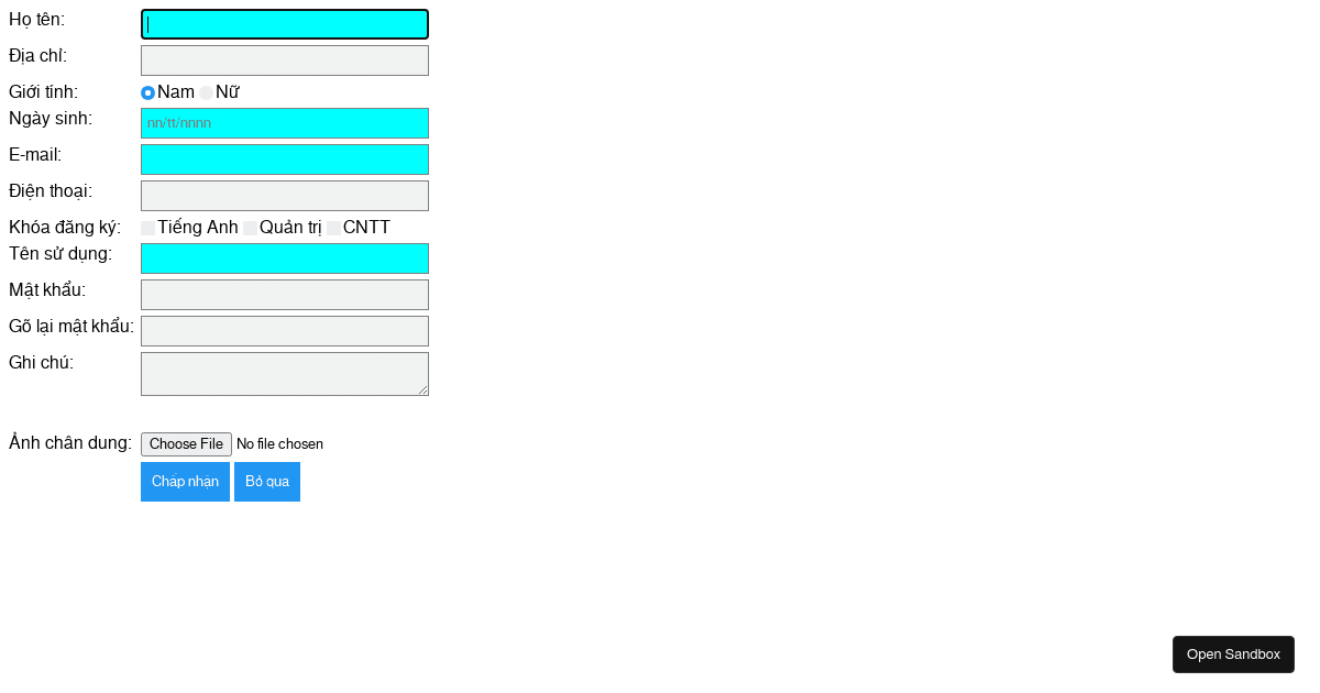 input-form - Codesandbox