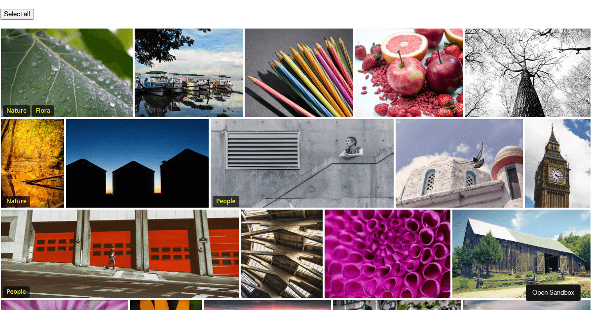 react-grid-gallery-selection - Codesandbox
