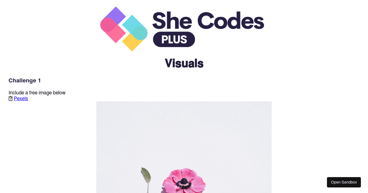 Visuals Challenge (forked) - Codesandbox