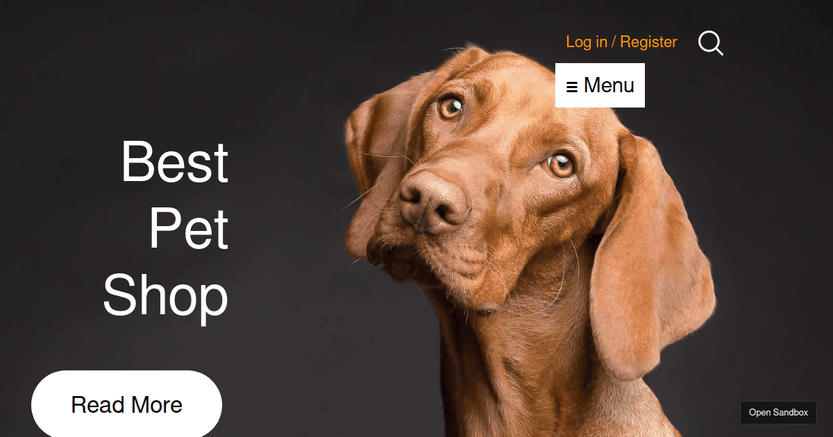 Dog Web site - Codesandbox