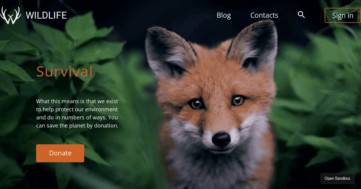 wildlife - Codesandbox