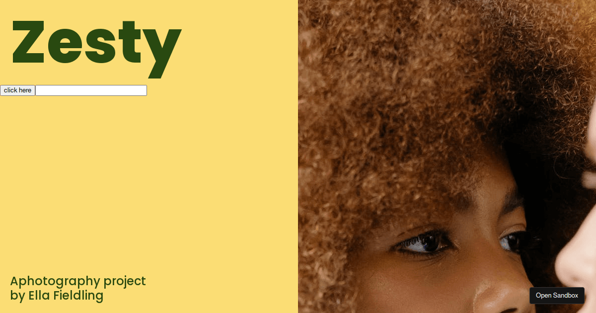 zesty_superhi (click + input text) - Codesandbox