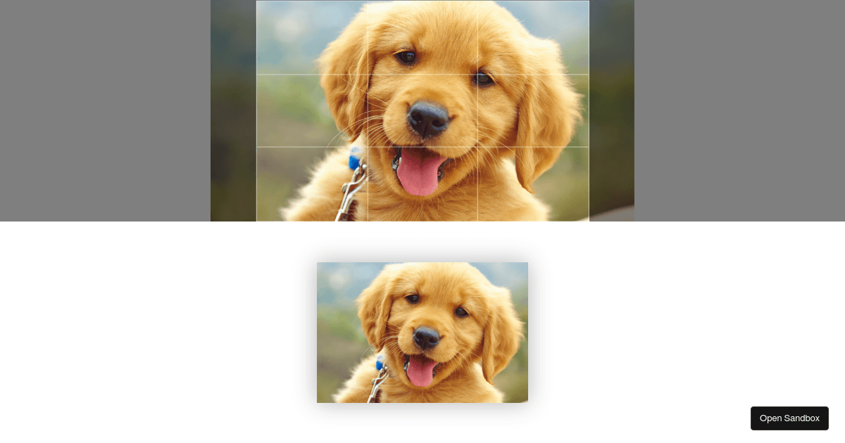 react-easy-crop with live output - Codesandbox