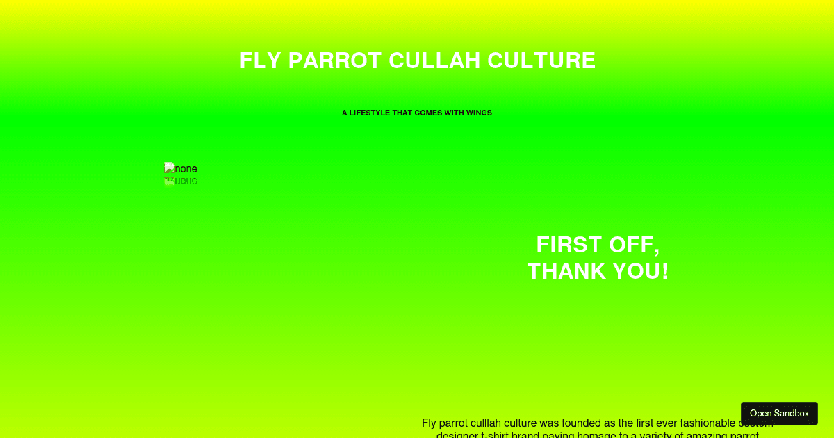 flyparrot - Codesandbox
