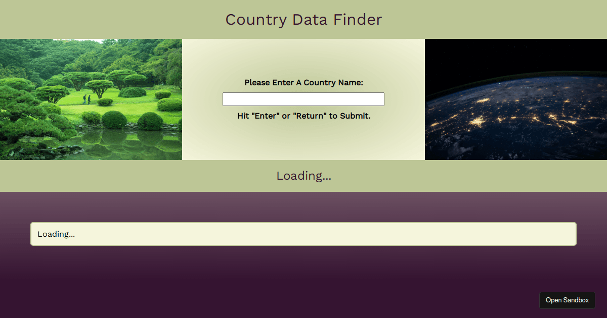 country-data-finder - Codesandbox