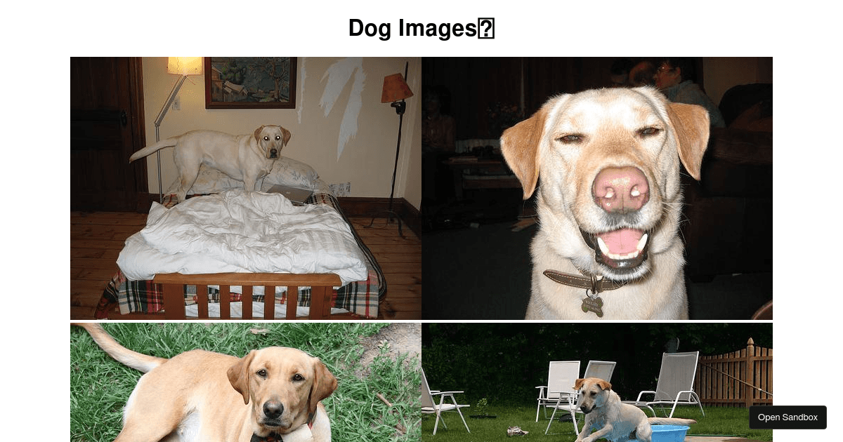 Container / Presentational Component - Codesandbox
