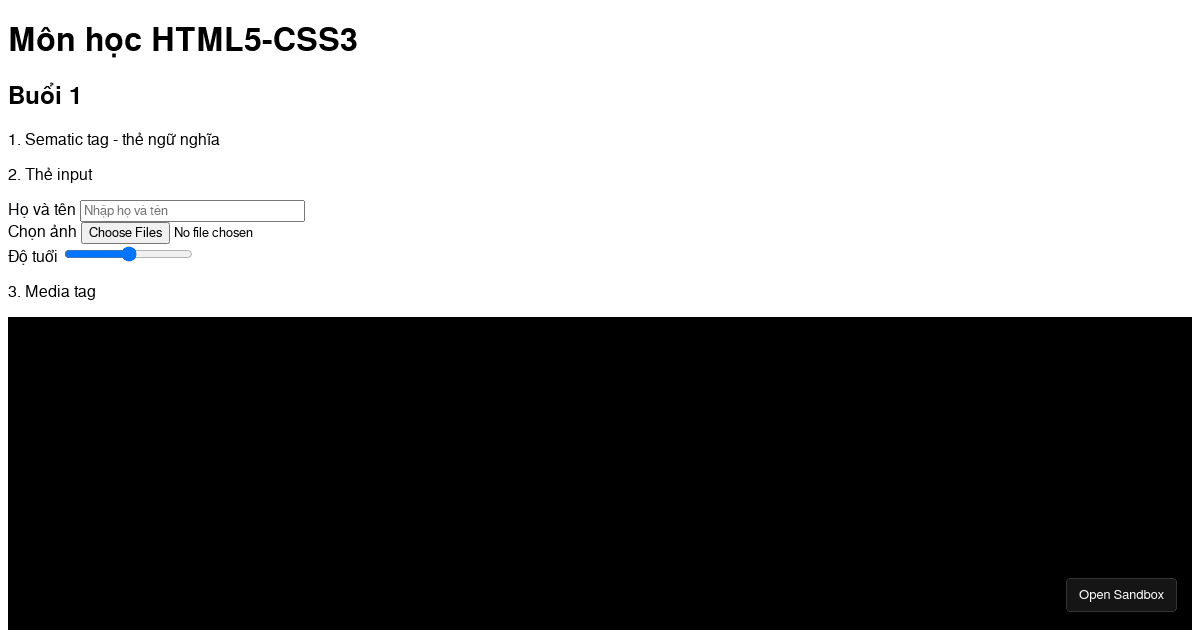 Html5 Css3 Codesandbox 7193