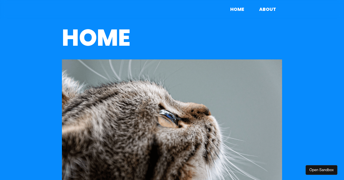 Barba Transition Forked Codesandbox