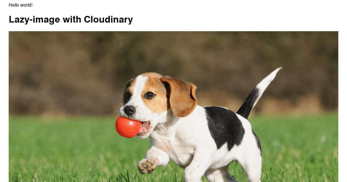 Cloudinary Lazy Loading Codesandbox