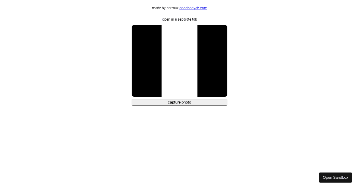 Portrait Webcam Capture - Codesandbox