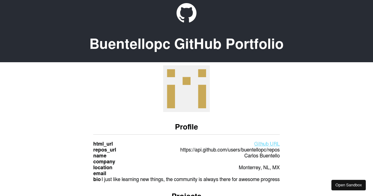Github Portfolio Codesandbox