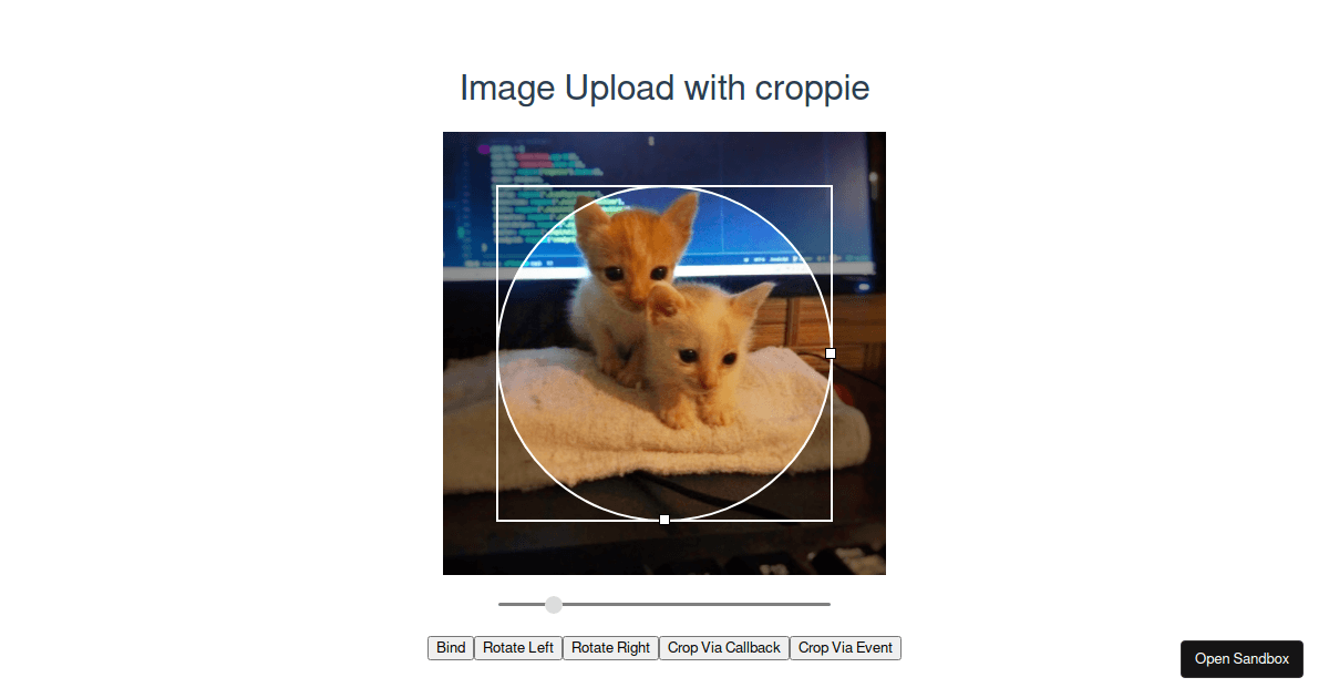 vue js Image using croppie - Codesandbox