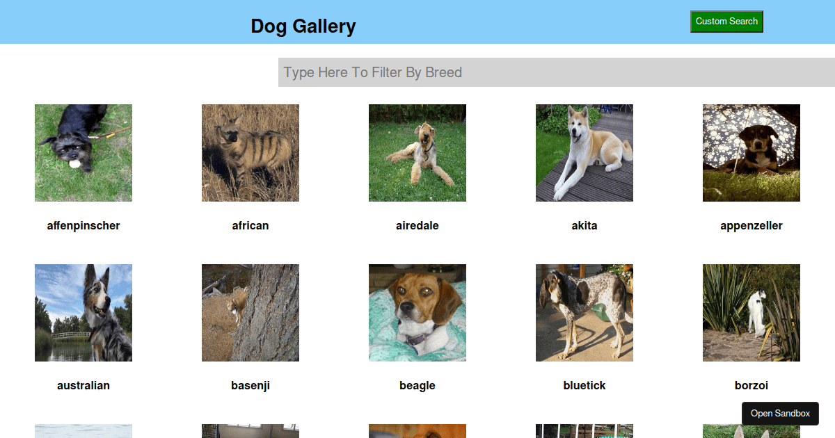 Dog Project - Codesandbox