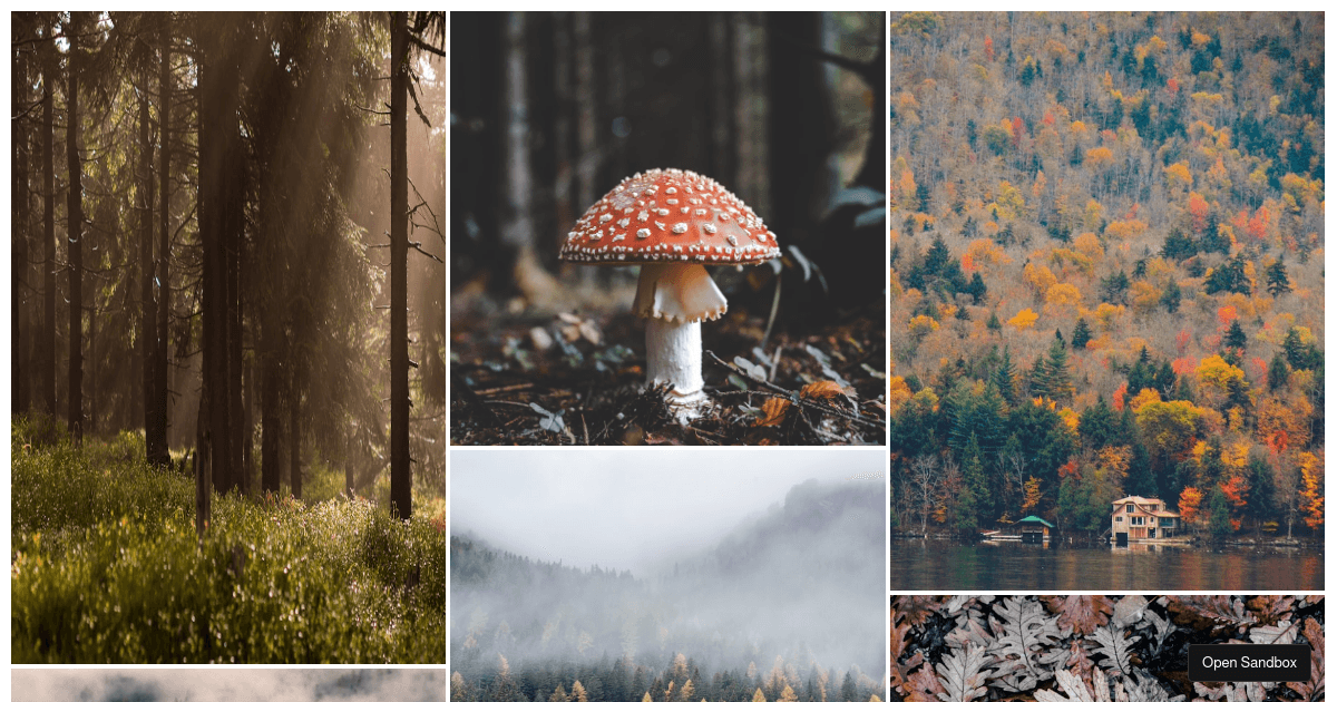 react-photo-gallery basic (columns) (forked) - Codesandbox react-photo-gallery basic (columns) (forked) - Codesandbox
