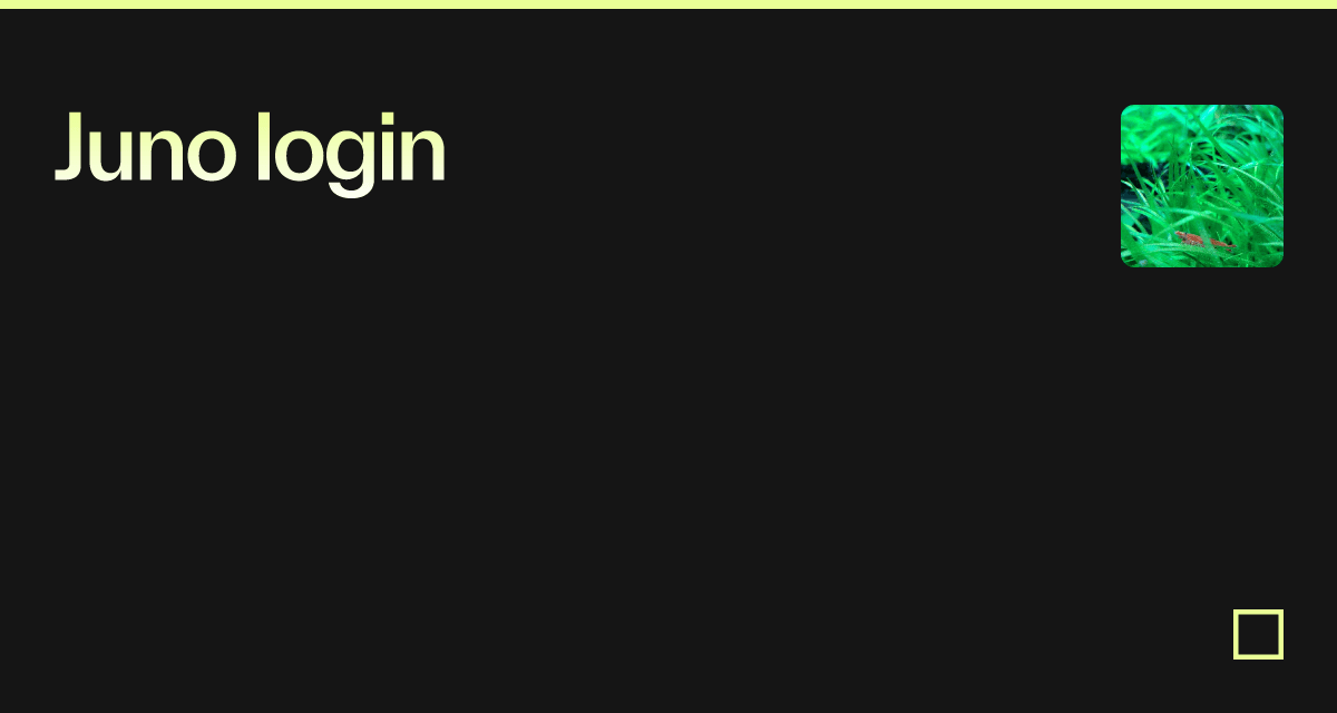 Juno login - Codesandbox