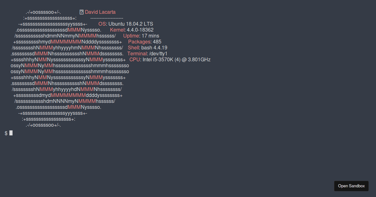 terminal - Codesandbox