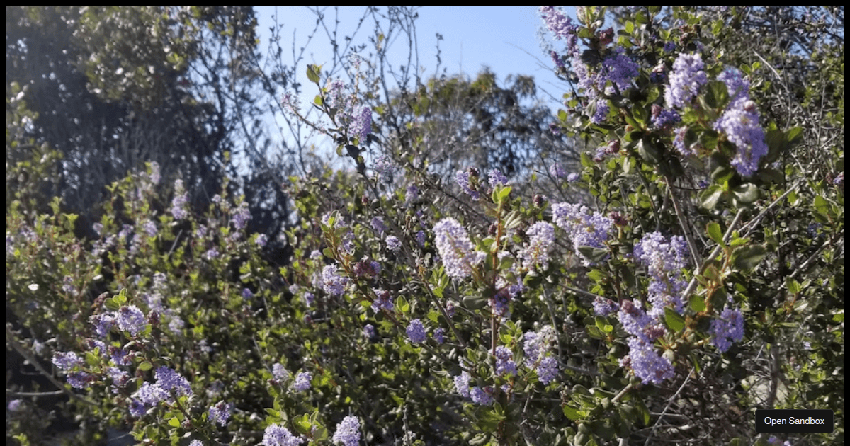 Simple Parallax Demo Codesandbox