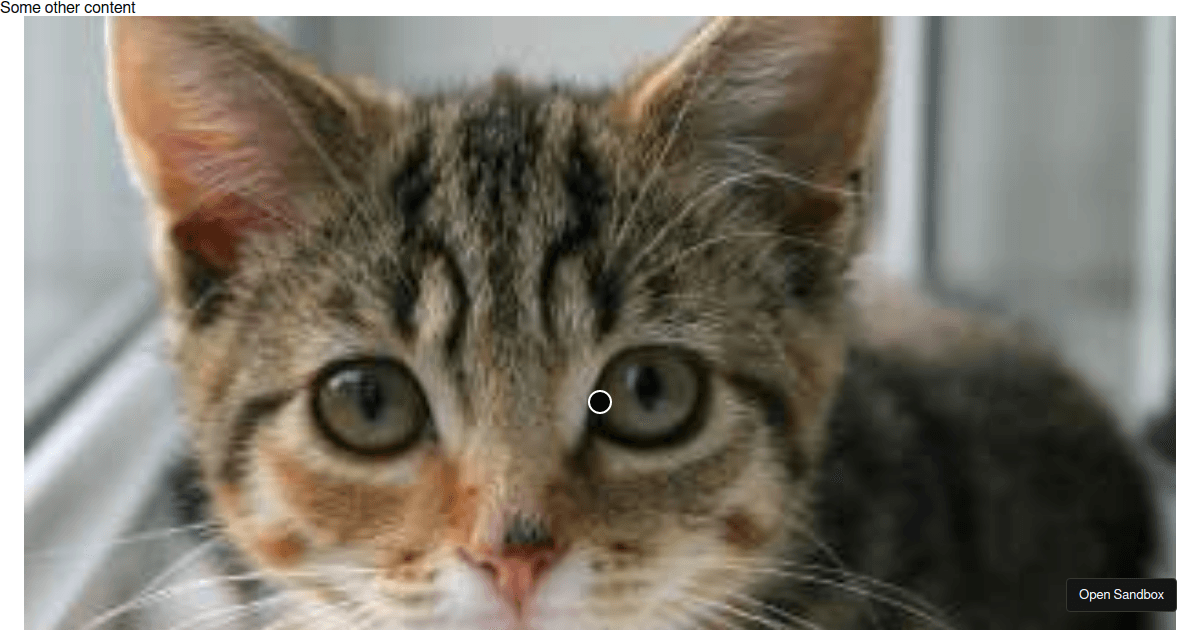 cold-browser-n5ij2p - Codesandbox