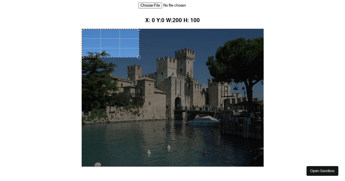 Blog - How To Crop an Image in React with React-Crop-Image (forked) - Codesandbox