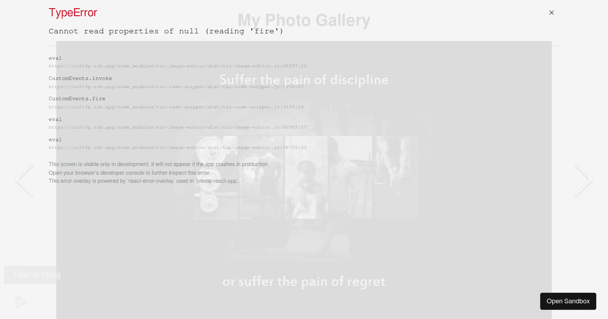 Gallery Project - Codesandbox