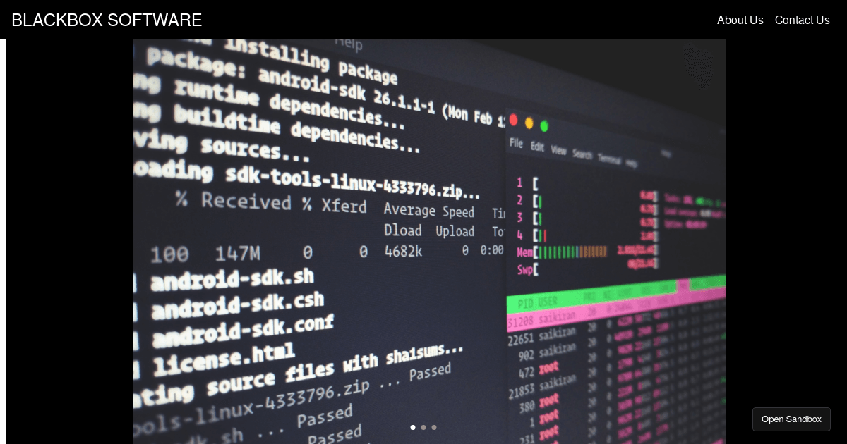 blackbox software site_v1 - Codesandbox