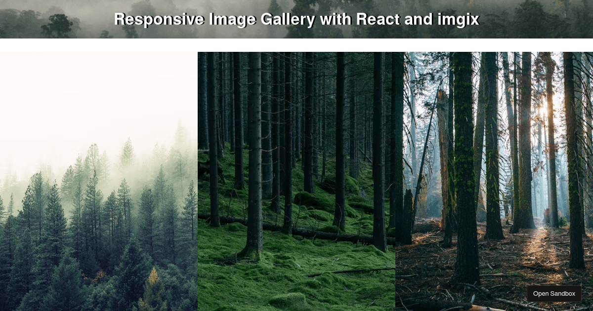 react-imgix-responsive-gallery (forked) - Codesandbox