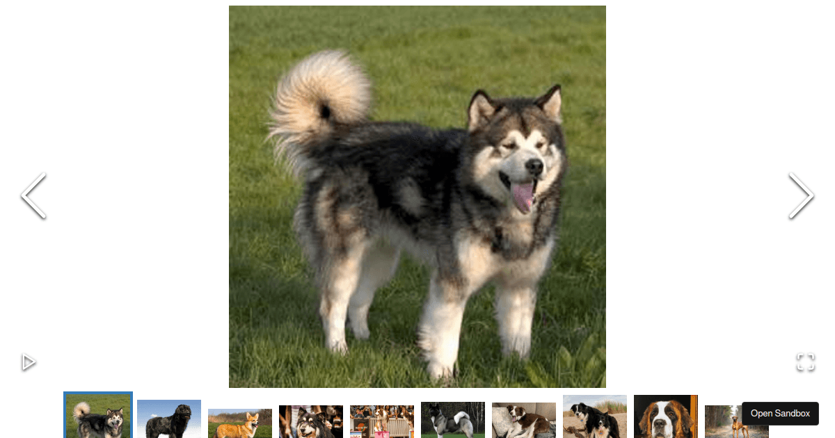 react-image-gallery with Api - Codesandbox