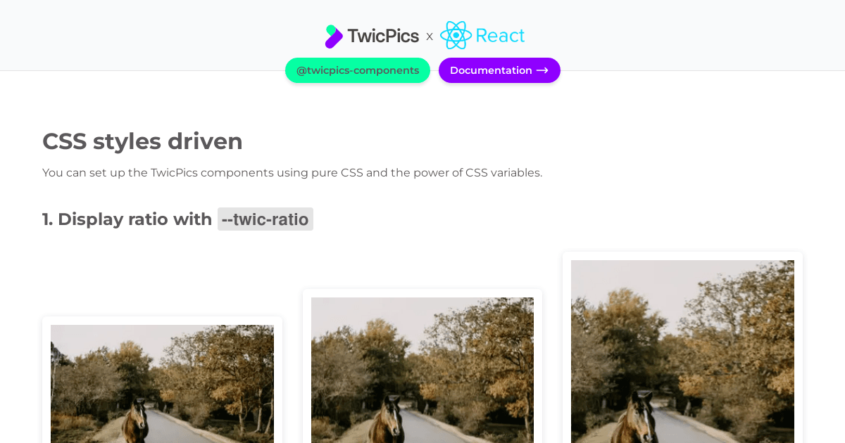 TwicPics x Next - Style driven - Codesandbox