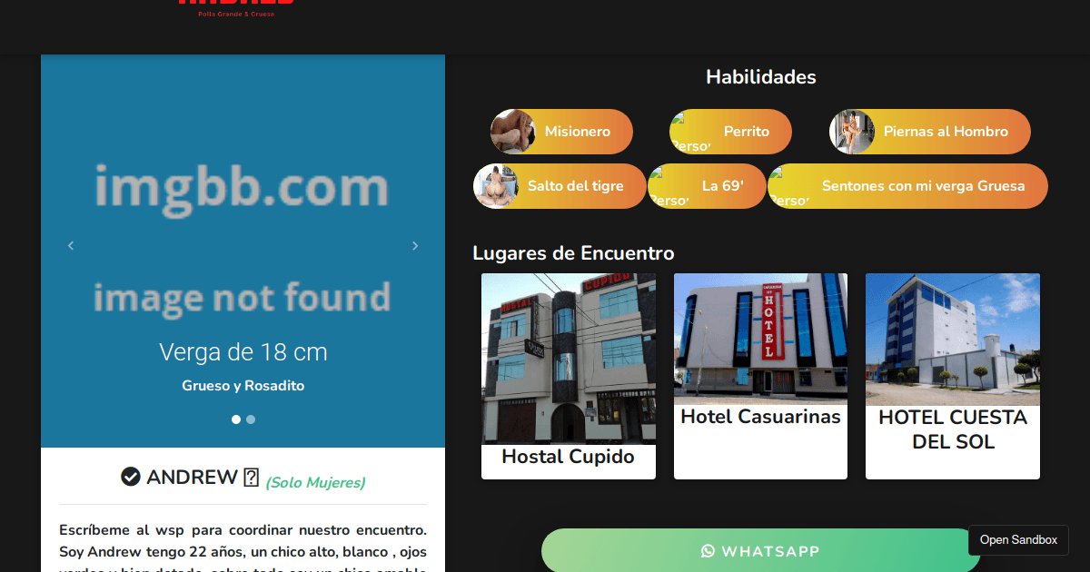 andres - Codesandbox