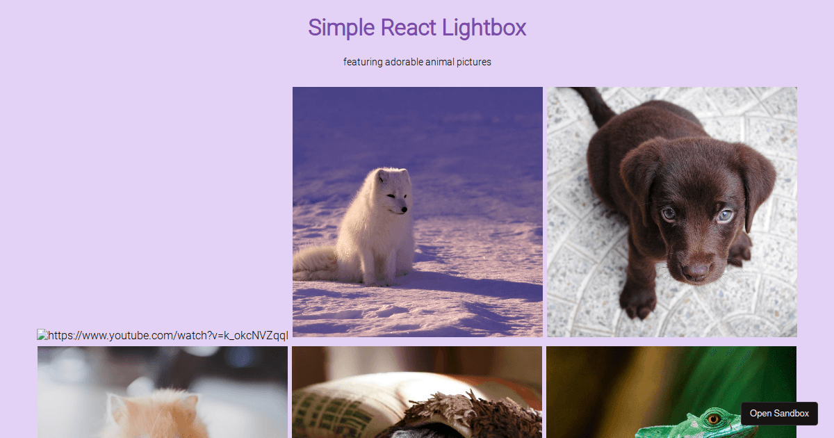 lightbox (forked) - Codesandbox