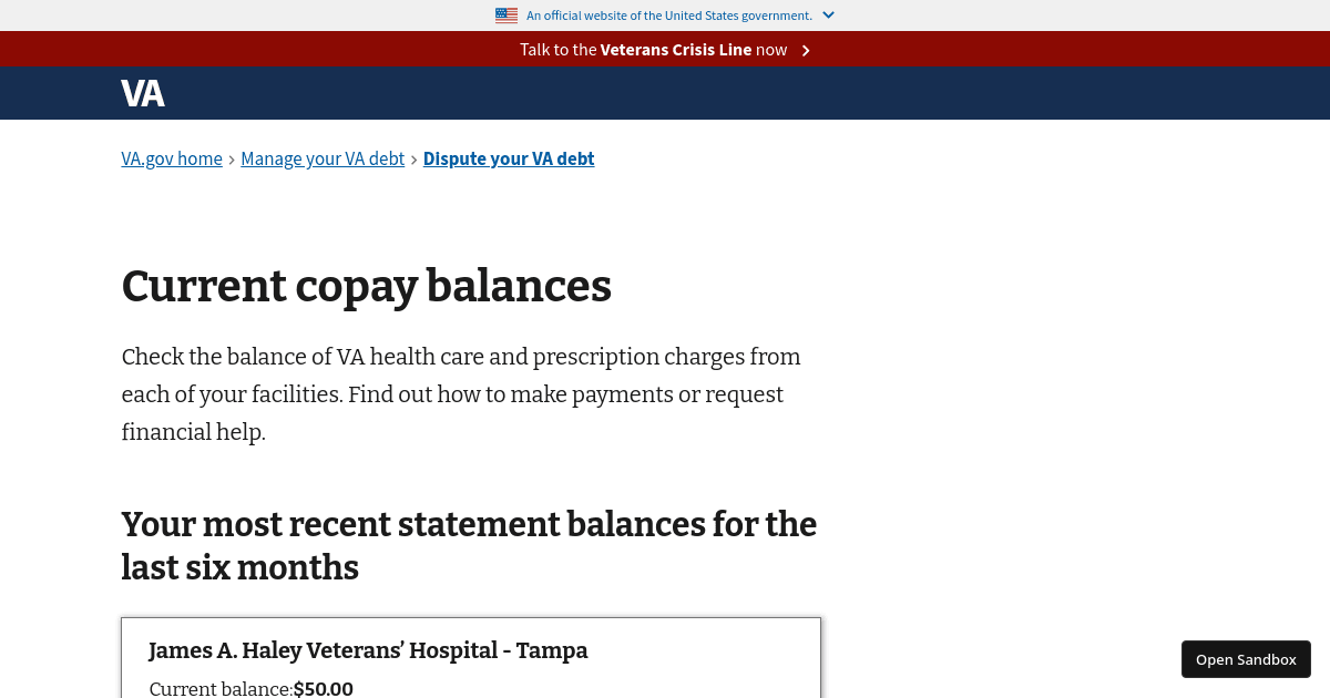 CDP - VHA Payment History - Codesandbox