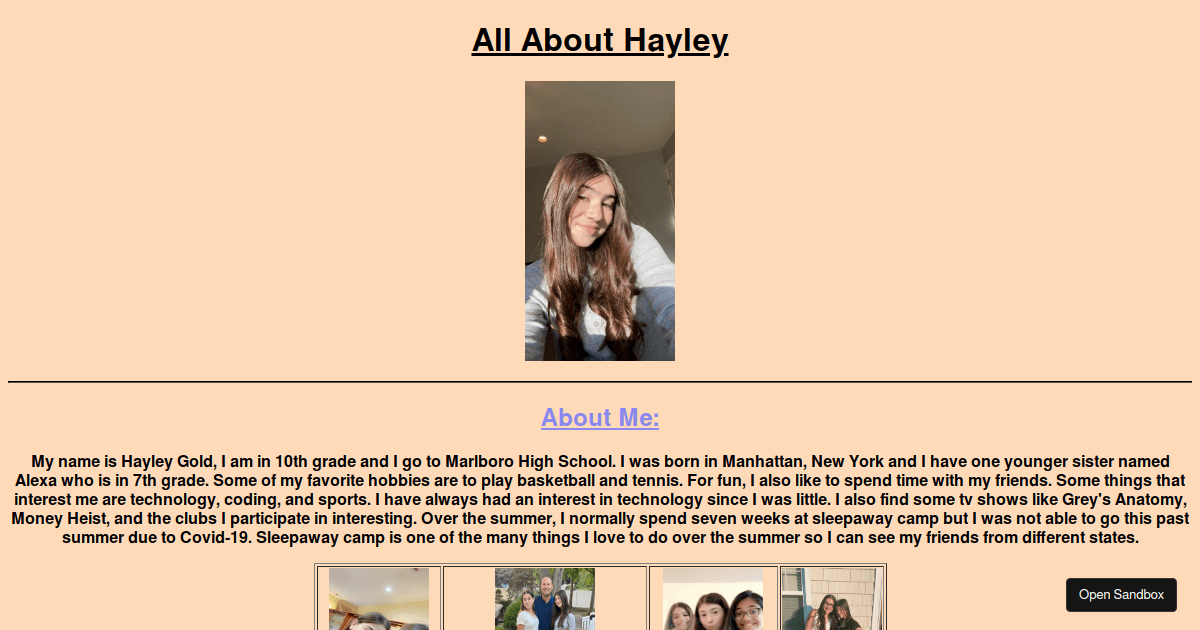 Hayley Gold's Test Site - Codesandbox
