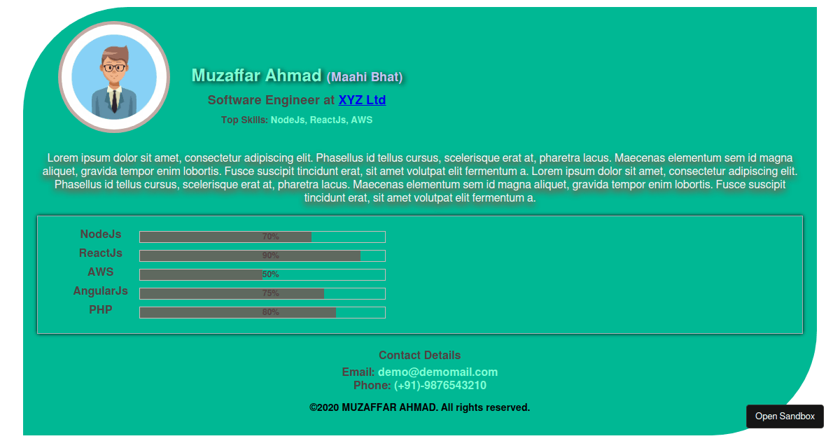 React Portfolio Component (forked) - Codesandbox