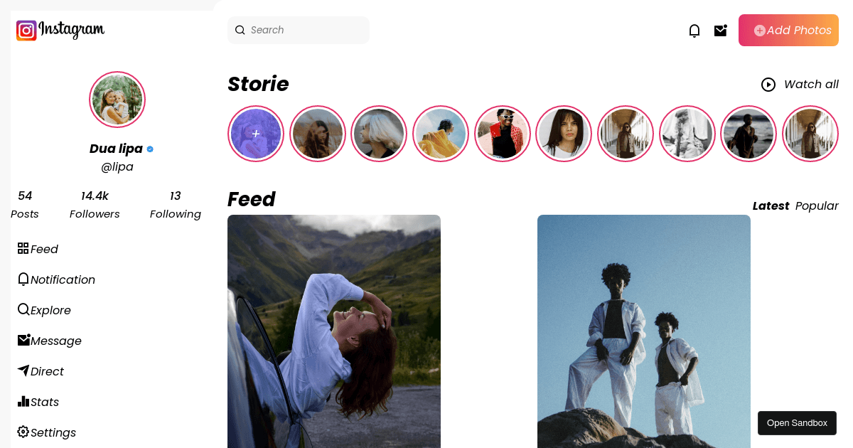 Instagram Clone Using Html And Css Codesandbox
