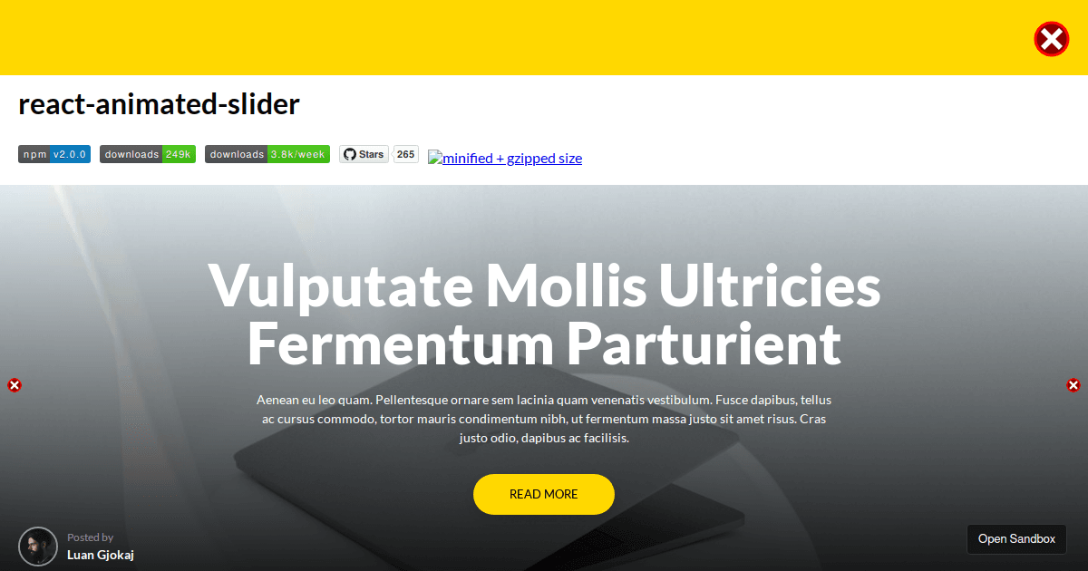 React Animated Slider - fully animated - Codesandbox