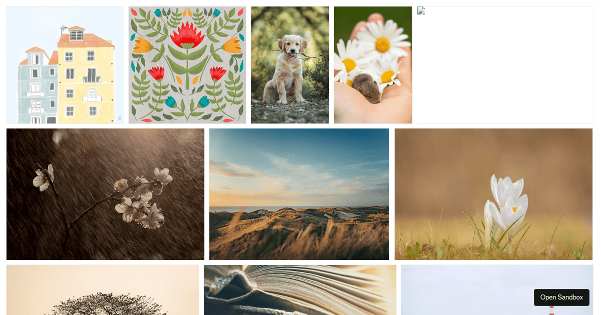 react-flex-images-example (forked) - Codesandbox react-flex-images-example (forked) - Codesandbox