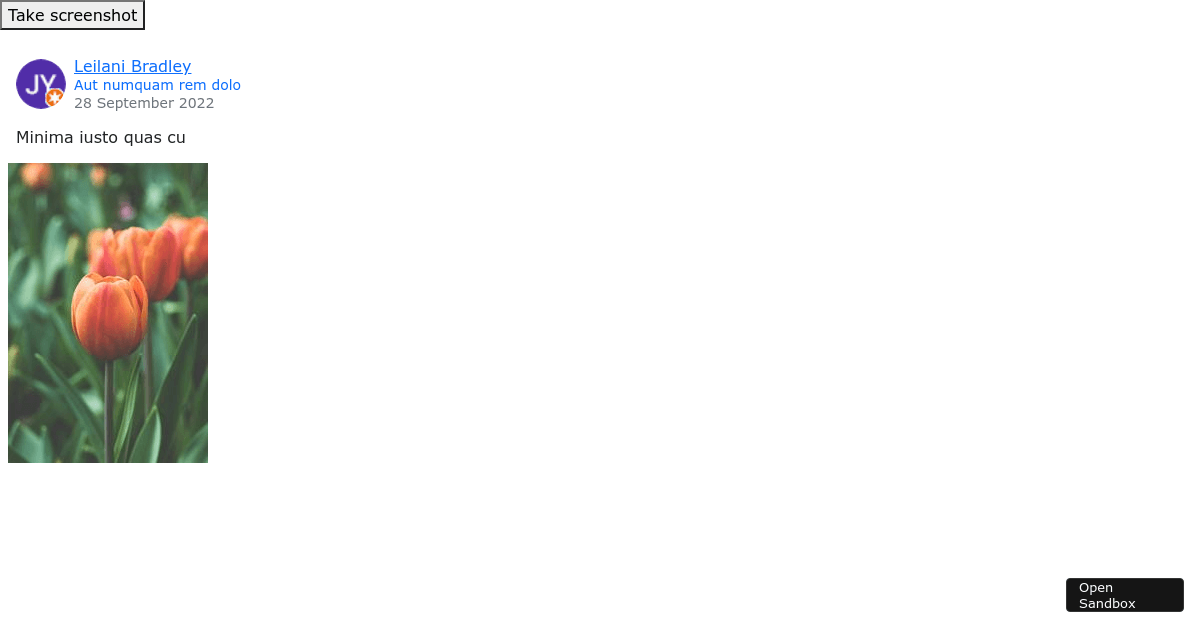 use-react-screenshot example - Codesandbox