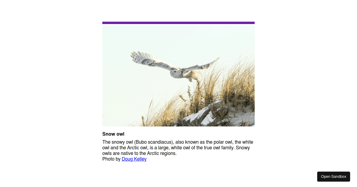 ActiveList snap carousel tutorial - Codesandbox