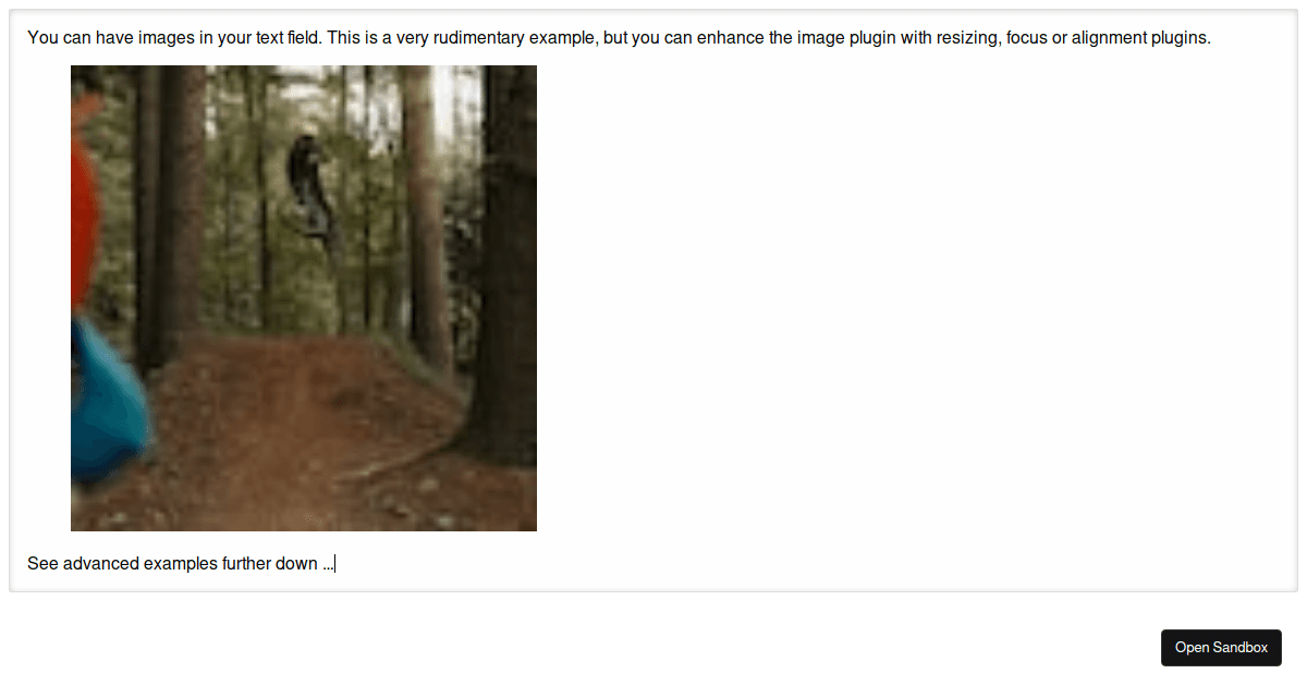 image alignment resize - Codesandbox