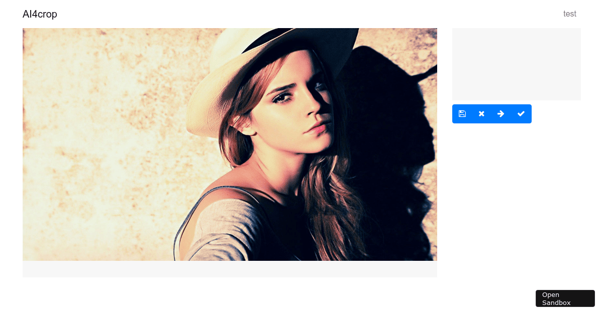 Cropper (forked) - Codesandbox