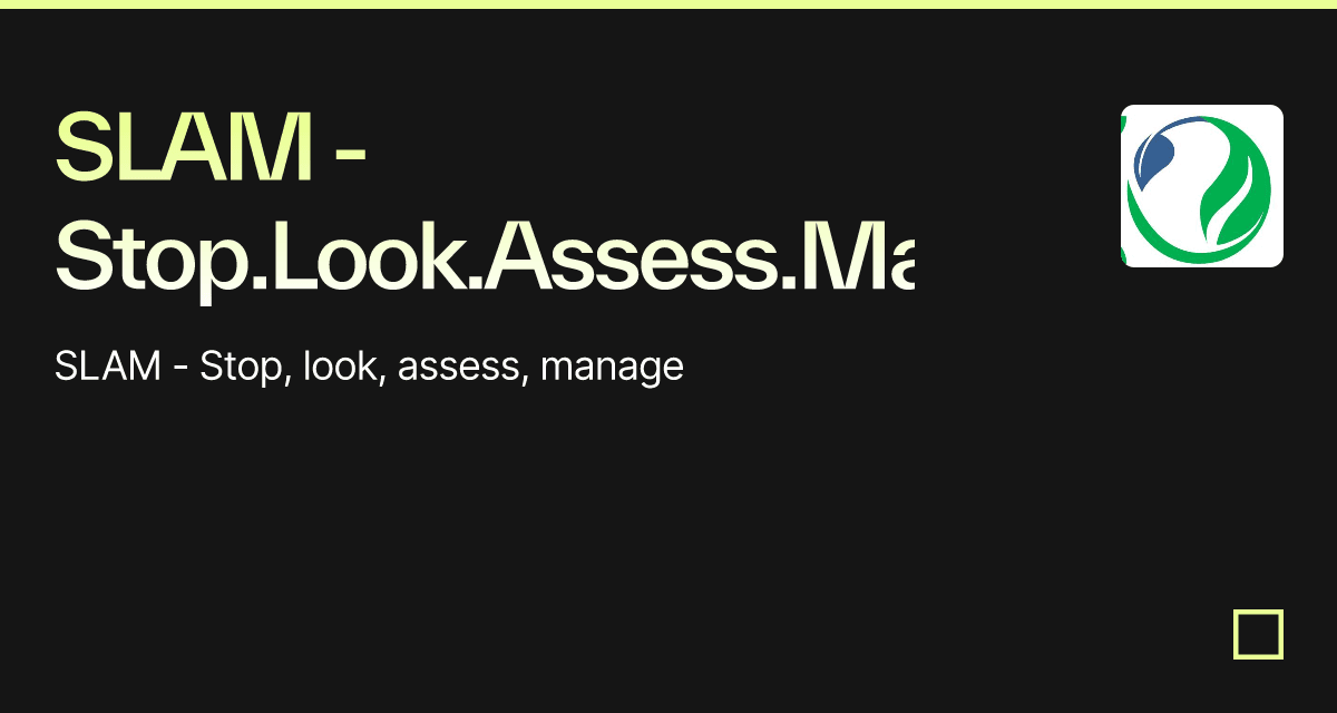 SLAM - Stop.Look.Assess.Manage - Codesandbox