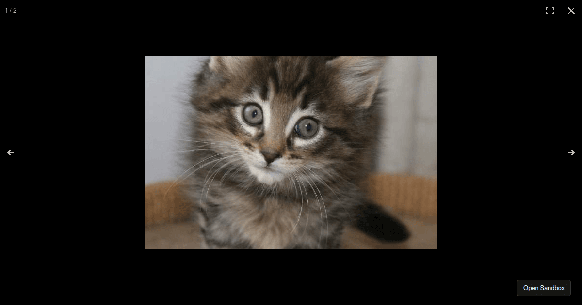 photoswipe - Codesandbox